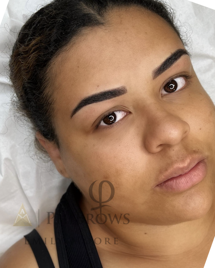 Powder Brows - The Brow Haus and Co | Microblading Brows by Emily ...